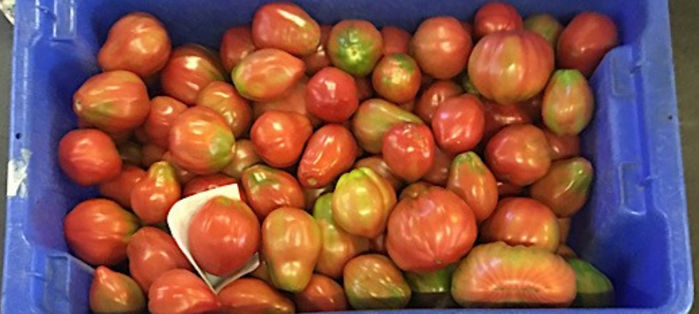 Good things continue to happen - a fresh delivery of Romano's low-acid ...